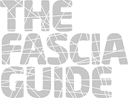 Fascia and soft tissues innervation in the human hip and their possible ...