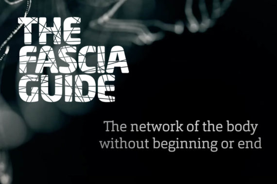 The mysterious world under the skin - German Fascia Documentary from ...